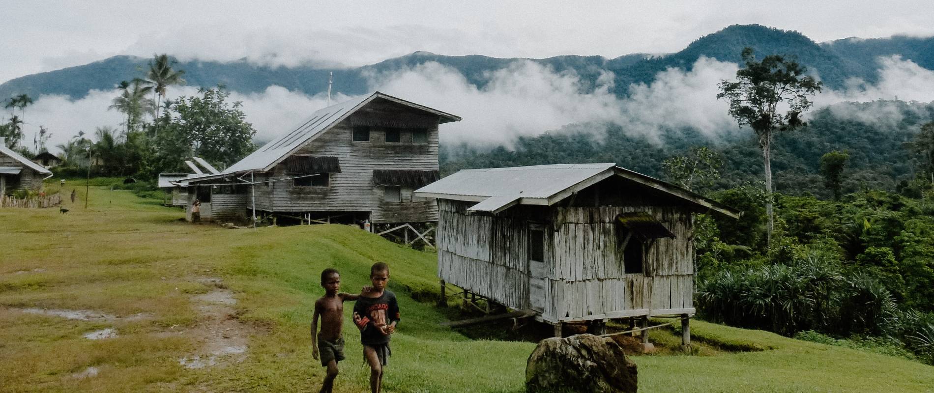 Interface - Ethnos360